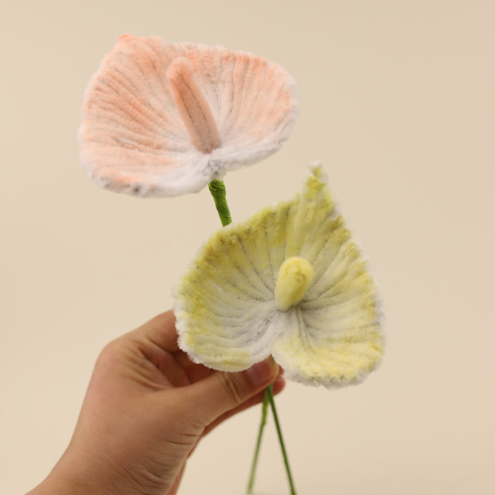 Anthuriums DIY Kit – Fuzzy Pipe